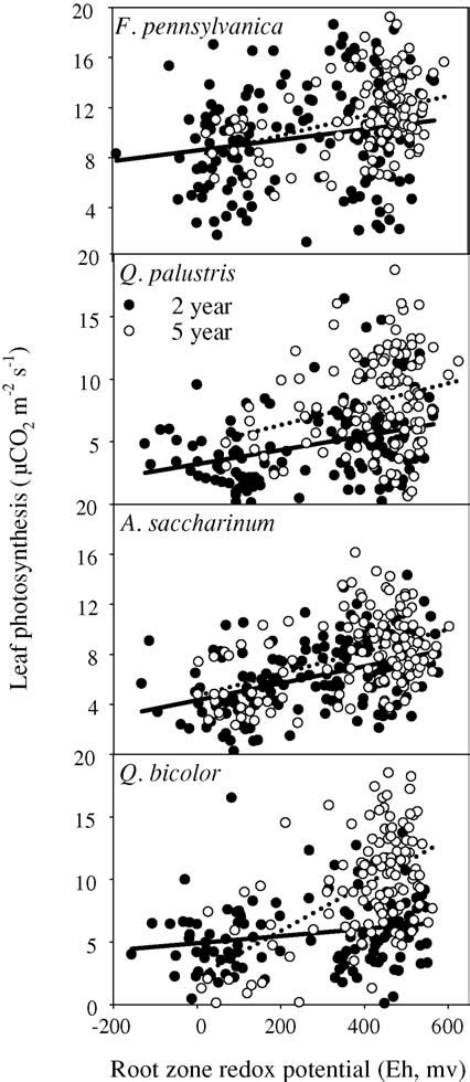 Least Squares Linear Regression Relationships Between Light Saturated Download Scientific