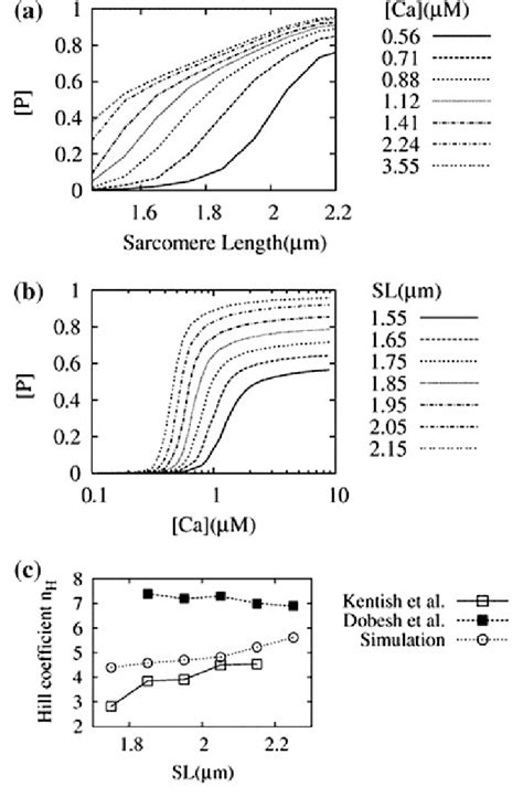 results of mc simulation simulation was performed under constant ca