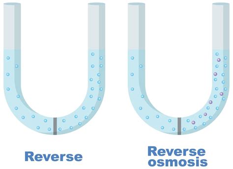 Images De Membrane Osmose Inverse Téléchargement Gratuit Sur Freepik