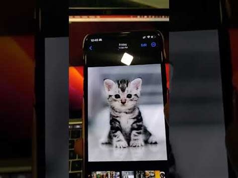 Github Mohsin Cat Detection A Cat Detector And Scarer Using Raspberry Pi Zero