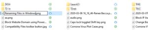 Batch Rename Files And File Extensions In Windows