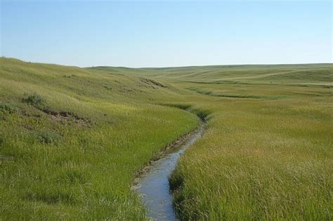 Researching The Adaptation Strategies Of Wildlife Generative Ai