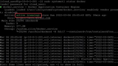 How To Store Docker Container Data In Docker Volumes