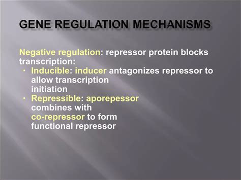 Prokaryotic Gene Regulation Ppt