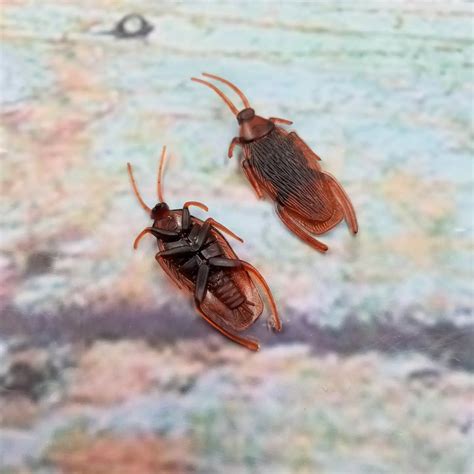 Fake Cockroach The Ivy Cottage