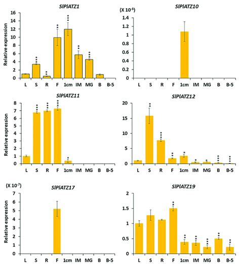 Qrt−pcr Expression Analysis Of Slplatz Genes In Various Organs The