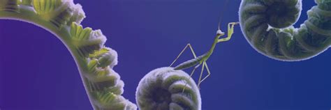 Esg In Practice Results From A Global Bank Survey Kpmg Germany