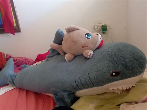 My Blåjah just got a new friend : r/TheClickOwO