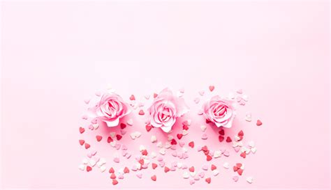 발렌타인 장미 꽃과 분홍색 배경에 달콤한 색종이로 형성 된 하트 모양 인사말 카드 또는 텍스트 디자인의 템플릿 모형 0명에 대한 스톡 사진 및 기타 이미지 Istock