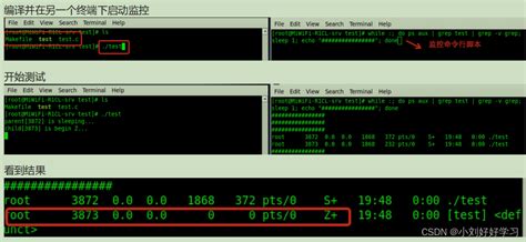 【linux】进程的概念与控制详细讲解（冯诺依曼体系、僵尸进程、写时拷贝 csdn博客