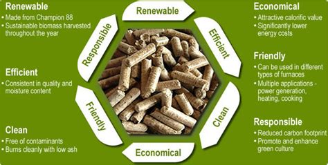 A Broad Prospect Of Biomass Pellet Press