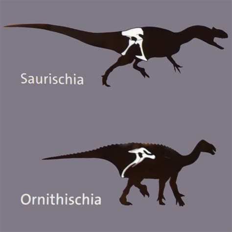 Dinosaurs Types Beyondarts App