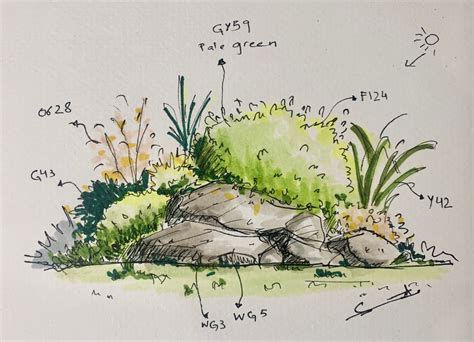 Howtodraw Bushes And Stones Landscape Drawing Archscapez Youtube Plant Sketches Bush