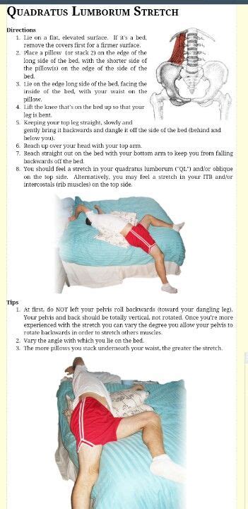 Quadratus Lumborum Strengthening Exercises How To Strengthen Lower