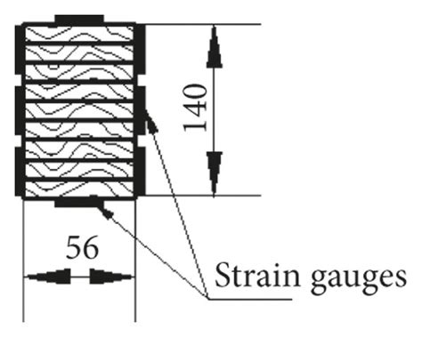 Schematic Drawing Of Specimens Unit Mm A Vertical View And B