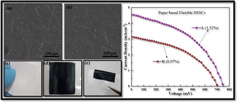 Illustration Of Paper Based Electrode A Prepared From Immersing The