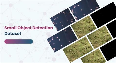 Small Object Detection Dataset For Ai Training And Testing