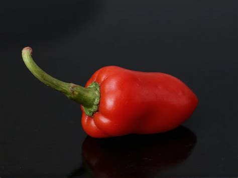 Ghost Pepper Scoville Scale Heat Facts And Safe Usage