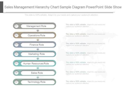 Sales Management Hierarchy Chart Sample Diagram Powerpoint Slide Show