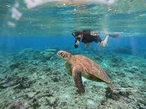 스노클링으로 유명한 필리핀 보홀 리조트 Best 5