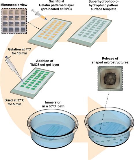 Schematic Representation Of The Protocol To Produce Silica‐based