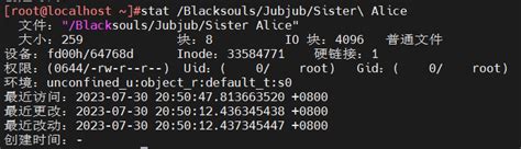 linux 文件系统 与 日志分析 Tsumiki 博客园