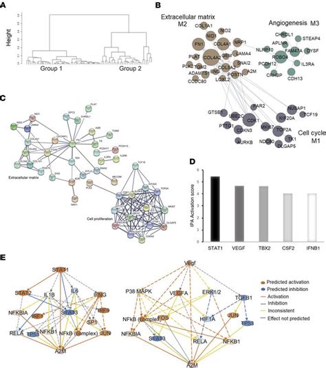 JCI Insight Single Cell Transcriptomics Identifies Focal Segmental Glomerulosclerosis