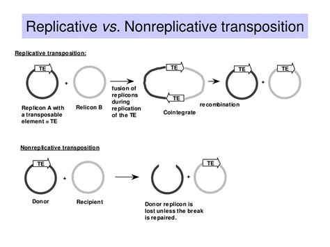Ppt Transposition Powerpoint Presentation Free Download Id 4206134