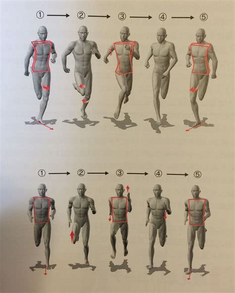Ref Run Cycle Artofit