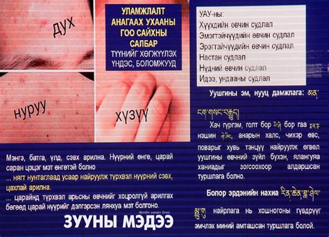 Фото Уламжлалт анагаах ухааны 108 боть төслөөр хэвлэсэн 50 боть номын нээлт боллоо