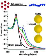 Directed Self Assembly Of Gold Nanoparticles Into Plasmonic Chains