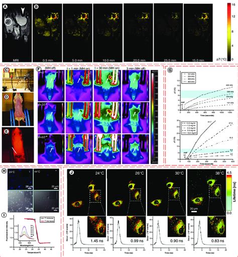 Thermal Readouts During Hyperthermia Experiments Using Various Download Scientific Diagram