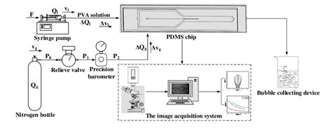 Structure Of The Pdms Chip The Schematic Diagram Of The Experimental Download Scientific
