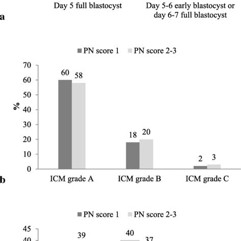 Bar Graphs Comparing Blastocysts Parameters Based On Their Pn