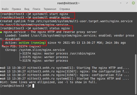Как установить Nginx на Centos 7 — инструкция