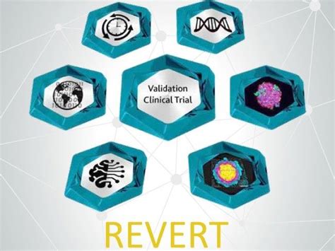 Revert Project On Linkedin Revert Brochure Personalisedmedicine Ai Mcrc Algorithms