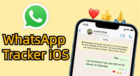 what is the best whatsapp free online tracker for ios