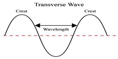 Characteristics Of Transverse Waves QS Study