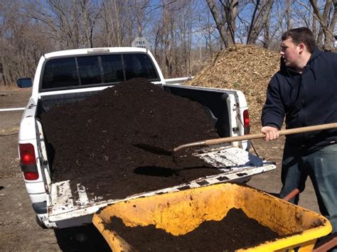 14 Landscaper Tips And Tricks Hgtv