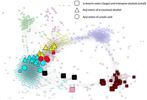 Weighted Gene Correlation Network Analysis Wgcna Signed Metabolic