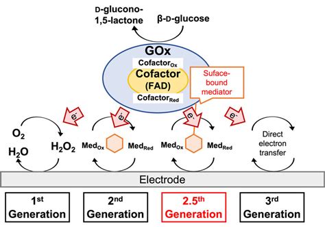 scheme 2 schematic illustration of the glucose sensor generations