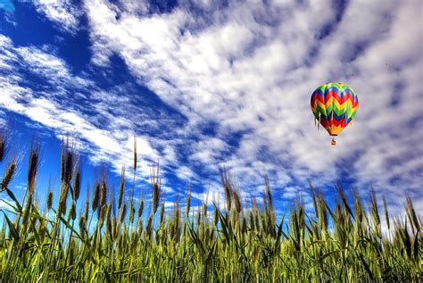 Обои поле колосья небо облака от Photomonstr картинки на рабочий стол и заставки