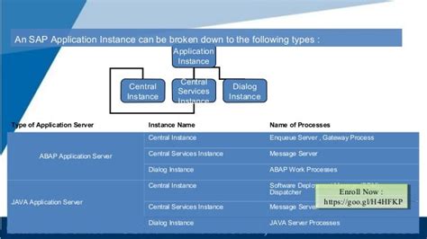 Sap Basics Online Training From Basic Level