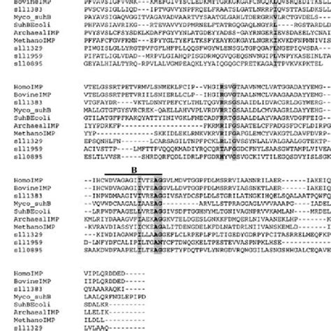 Multiple Sequence Alignment Using Clustalw A Multiple Sequence