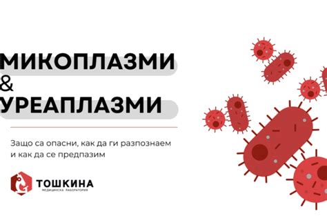 Вагинални инфекции видове симптоми лечение Тошкина Медицинска Лаборатория