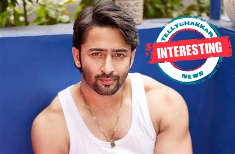 interesting what makes shaheer sheikh s chemistry with his co stars a