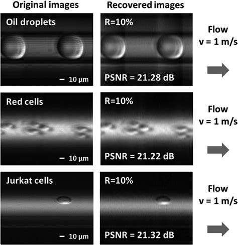 Original On The Left And Reconstructed On The Right Snapshots Of Download Scientific