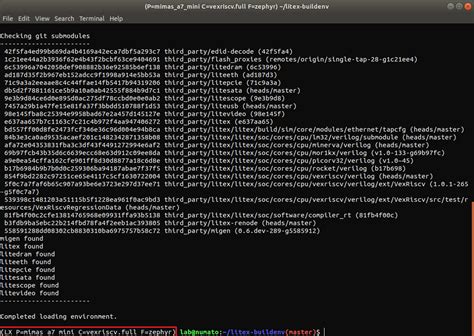 Running Zephyr Rtos On Mimas A7 Mini Using Litex And Risc V Numato Lab Help Center