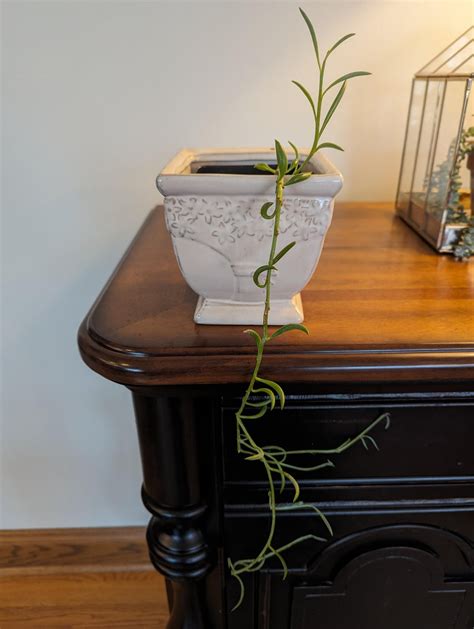 Where To Cut String R Proplifting